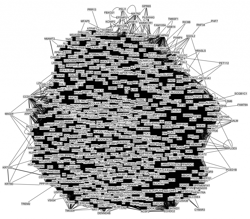 Making group structures visible | Visual Computing BLOG