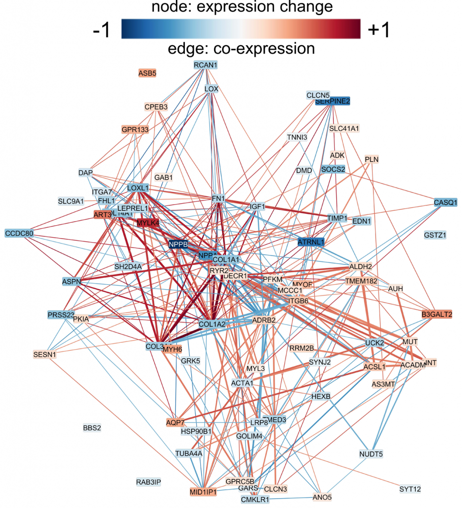 Making group structures visible | Visual Computing BLOG