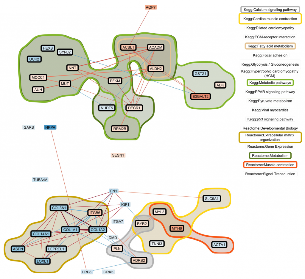 Making group structures visible | Visual Computing BLOG